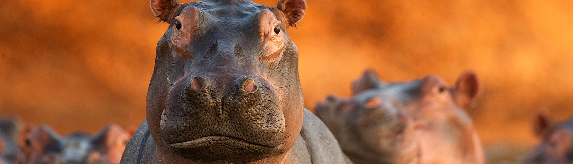 David Fettes: Going against the crowd – and the best moment to press ...