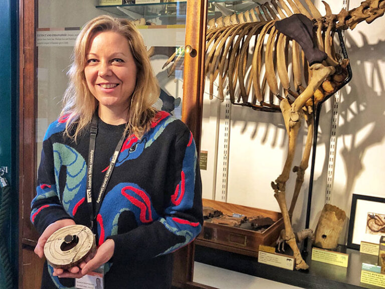 Tannis Davidson: Quaggas, dugongs and thylacines – and the heroic ...