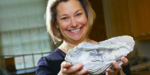 Mark Frith: a legacy of Britain's ancient oaks - Trees A Crowd