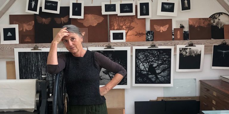 Trees A Crowd with David Oakes