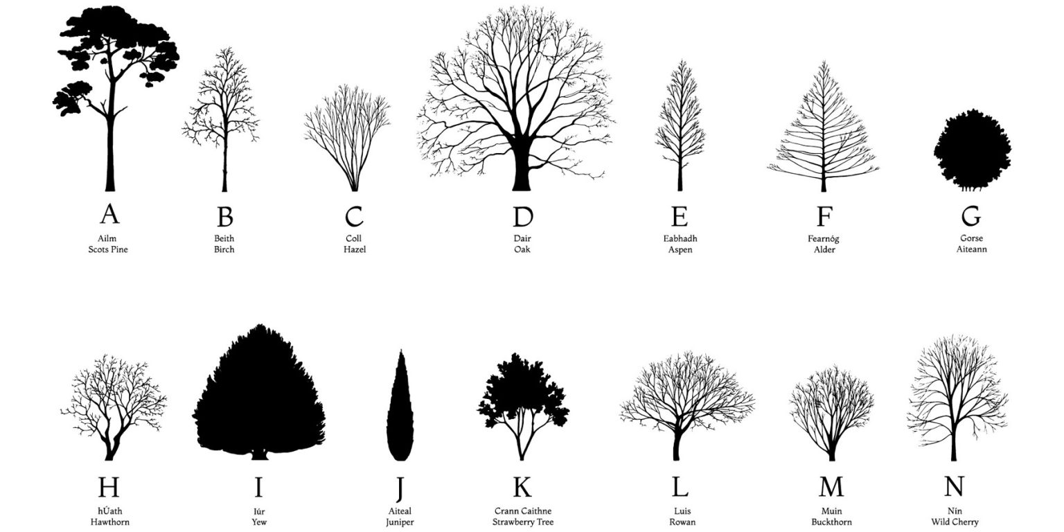 Trees A Crowd with David Oakes