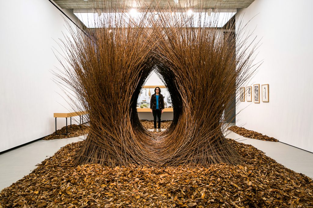 Andy & Peter Holden: A Filial History of Nest Building - Trees A Crowd