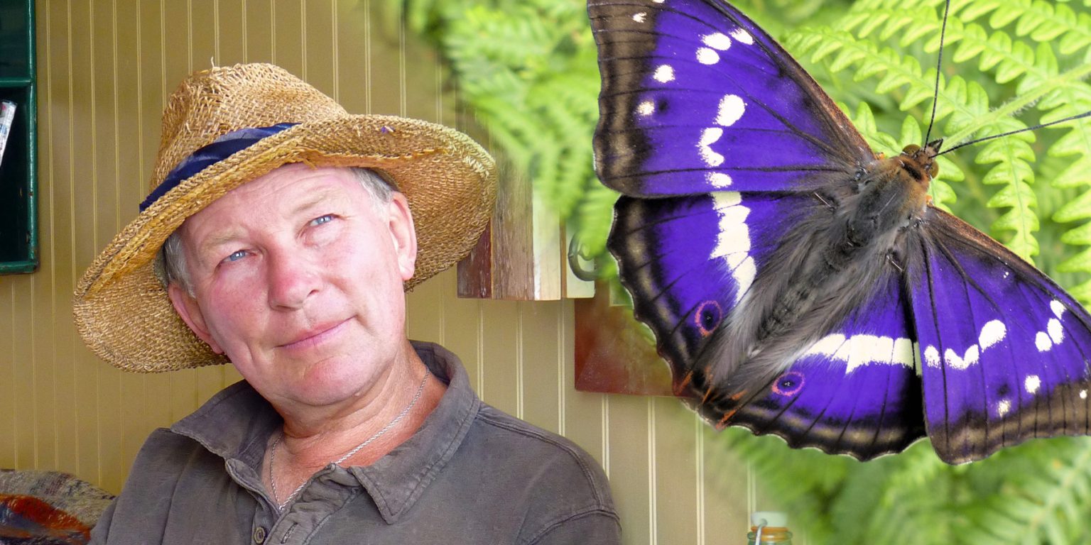 Trees A Crowd with David Oakes